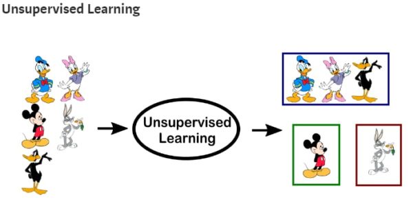 What is Neural Networks? | Artificial Intelligence Neural Networks